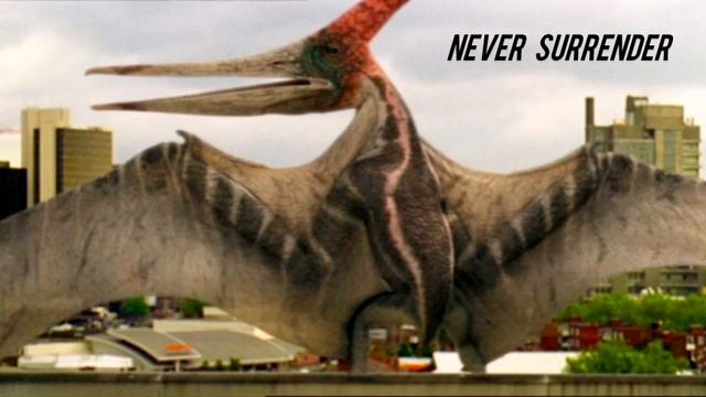 Like A Storm - Never Surrender