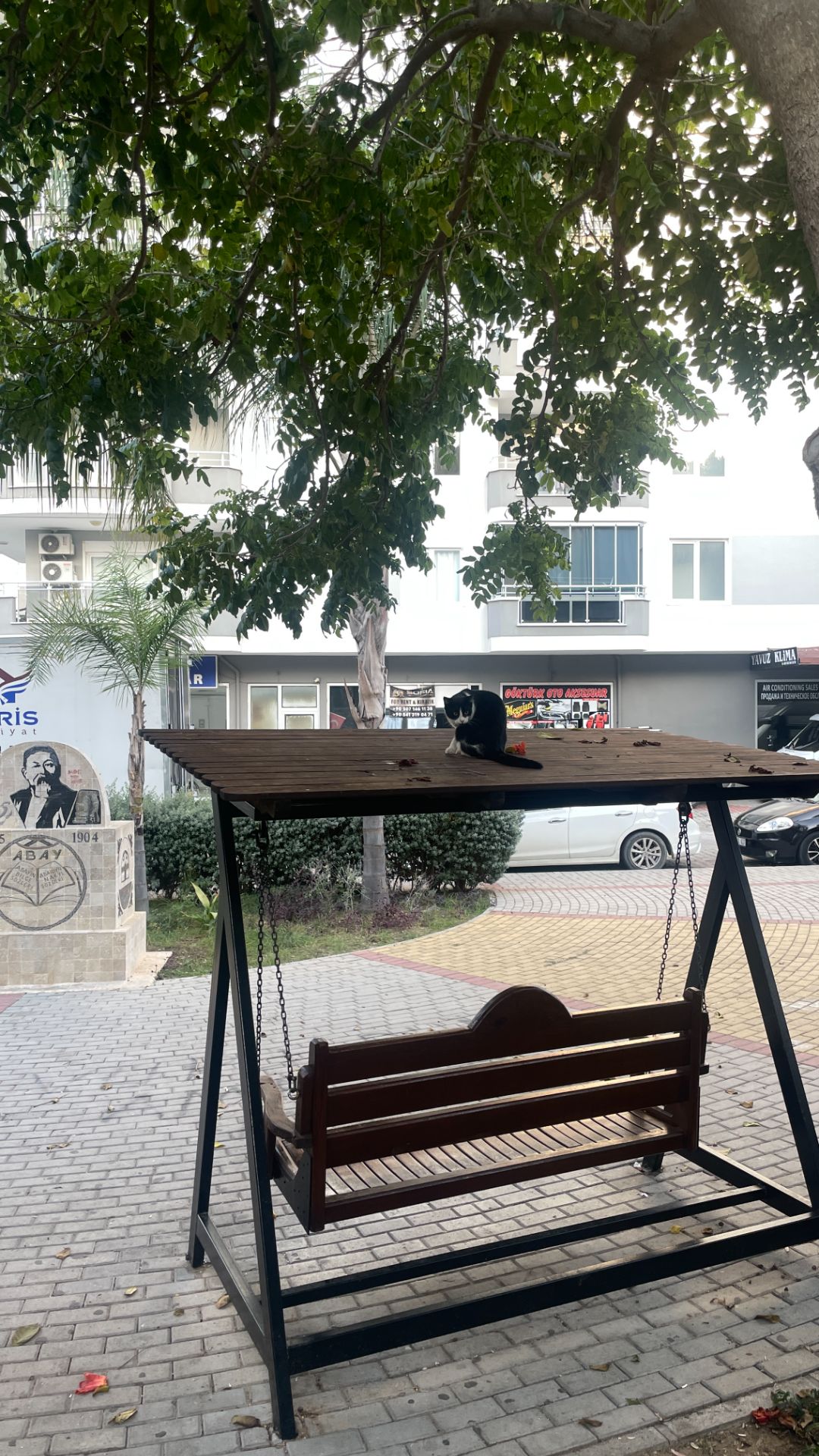 Правда о школах в Турции в 2026 году: почему здесь не задают уроки на дом? 😧