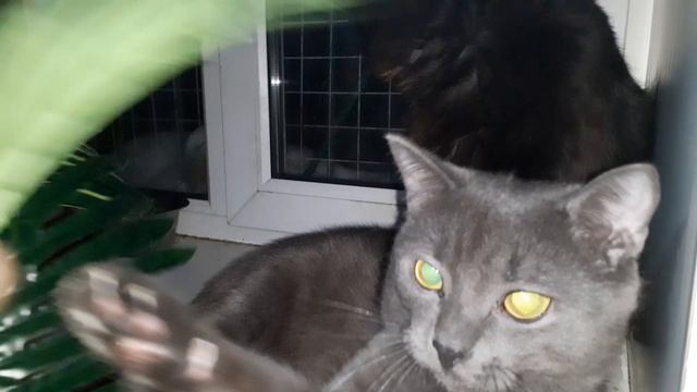 Дома тоже хорошо.