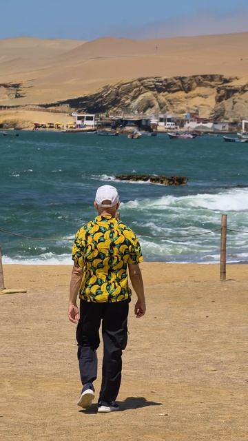 Паракас Перу