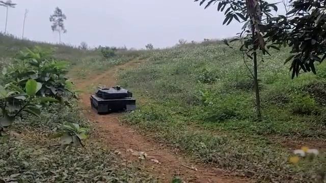 Радиоуправляемый танк 1-6 350 кг, внедорожный боевой