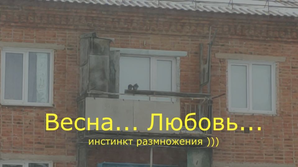 Весна... Любовь...