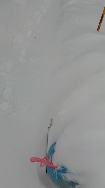 №1638 Двор П. Осипенко 48. 8 марта 2026 г., 10:17:22 VID_20260308_101711537