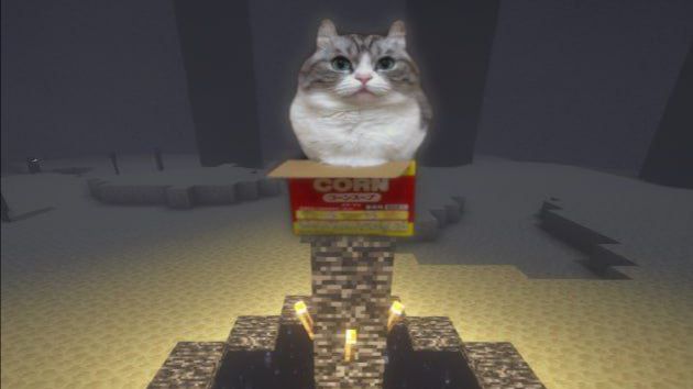 Оценка канала Misha_PRO✓