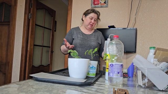 Хутор Замошье/ТЕПЕРЬ ДОМА ТЕПЛО, А НА ДУШЕ СПОКОЙНО. УКРЕПИЛИ СТЕНУ И ПОСЕЯЛИ ПЕРВУЮ РАССАДУ.