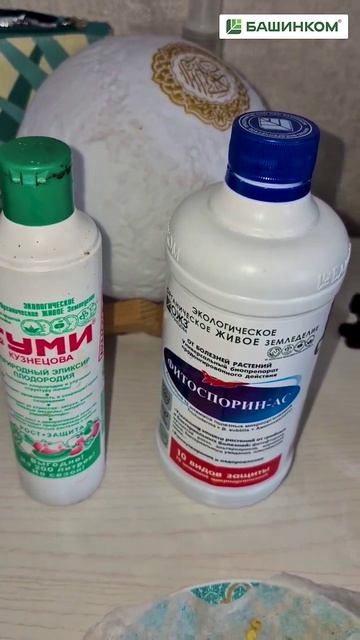 Готовим семена перца к посеву. Как оживить?