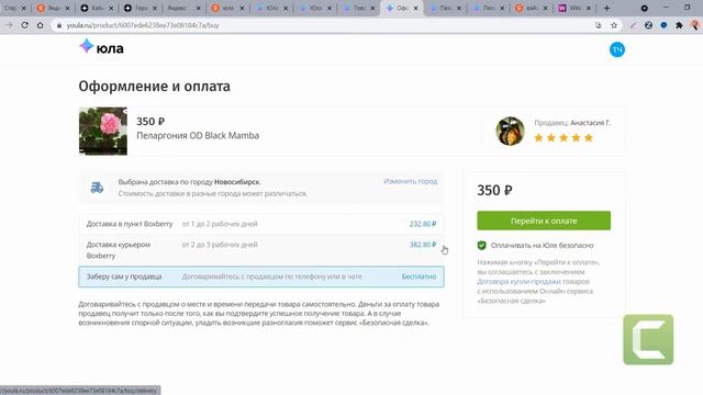 Где купить черенок и семена пеларгонии герани