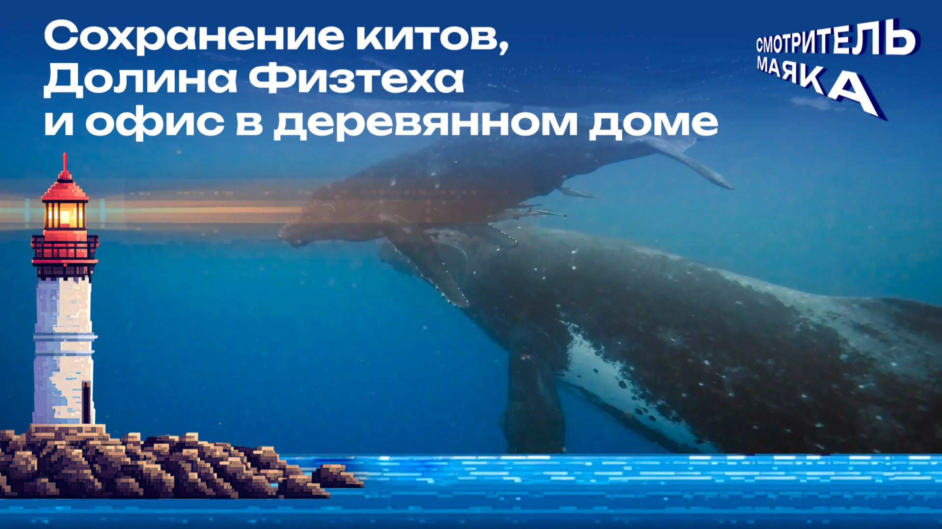 Сохранение китов, Долина Физтеха и офис в деревянном доме | Смотритель маяка с Романом Маякиным