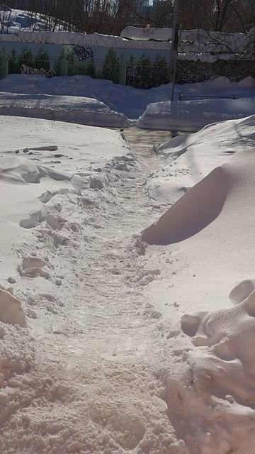 №1653 ул. Белинского. 9 марта 2026 г., 12:06:46 VID_20260309_120622618