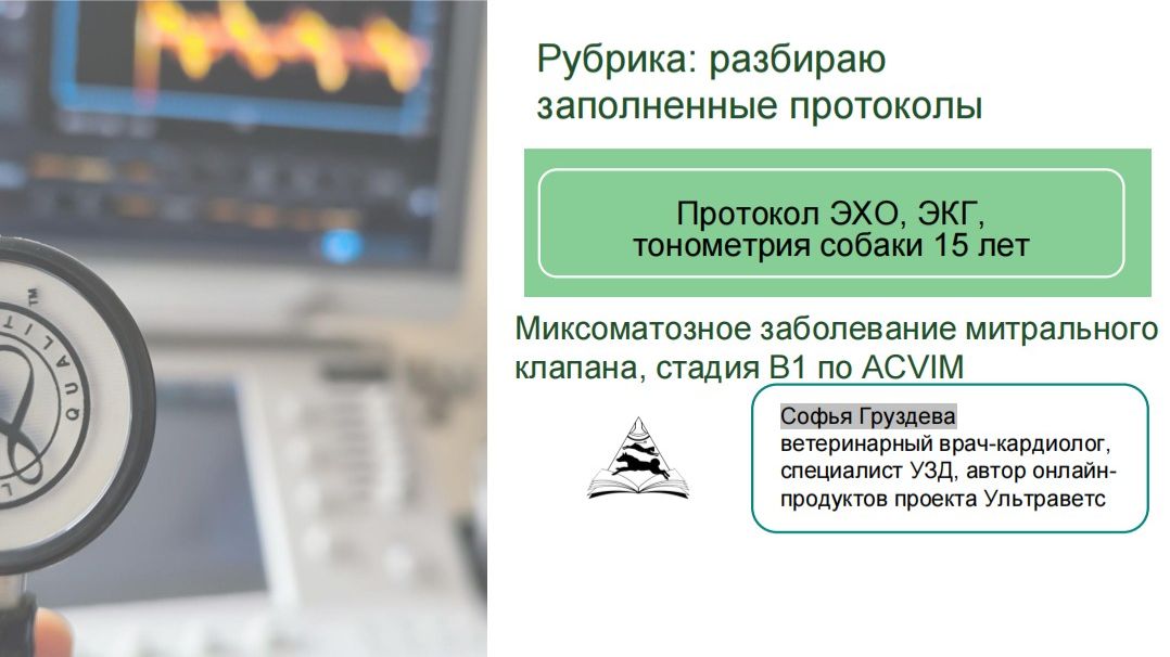 Протокол ЭХО, ЭКГ и тонометрии собаки 15 лет | Миксоматозное заболевание клапанов у собак