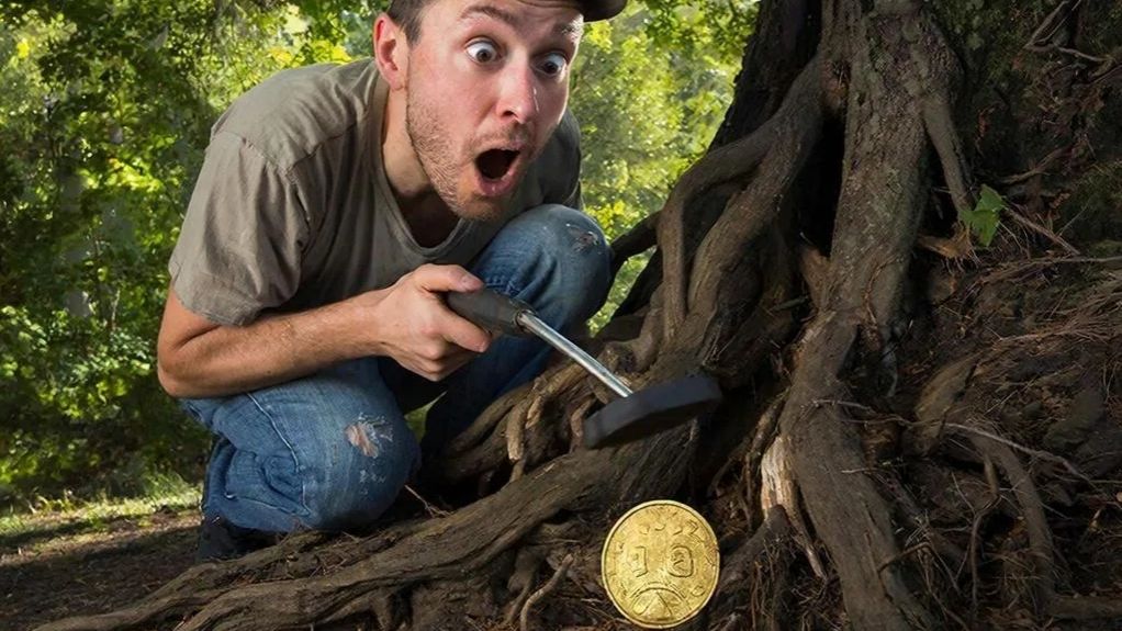 В лес за монетой!