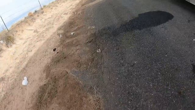 Load Of Japanese Wagyu Cows, Texas-California (ep.24)