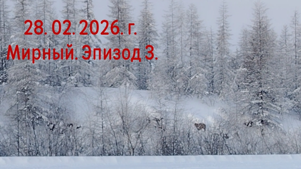 28. 02. 2026. г. Мирный. Эпизод 3.