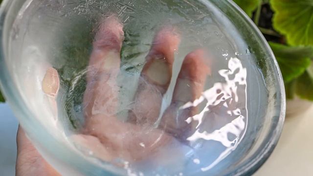 Талая вода для полива пеларгоний (гераней)