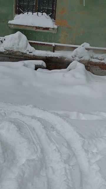 №1635 Двор П. Осипенко 48. 8 марта 2026 г., 10:06:06 VID_20260308_100536753