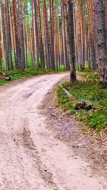 Без пробок // навигатор // Яркие моменты // Мотивация // Велопутешествие