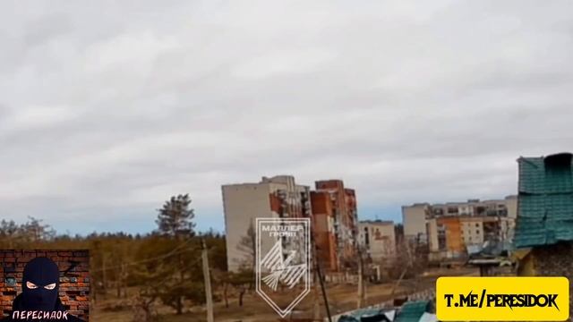 Низко летят. Видимо к дождю