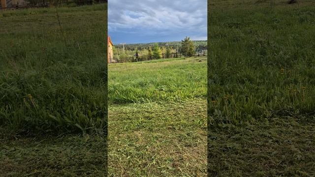 2025_05_22 Обзор после покоса