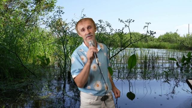 Вспомню вечер - Сергей Орлов