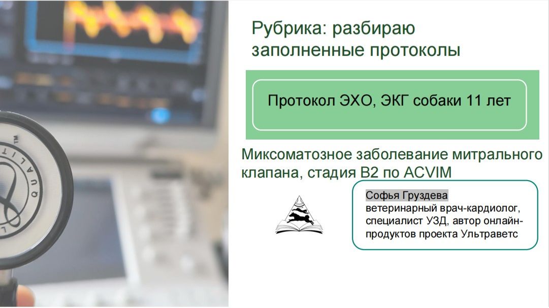 Протокол ЭХО и ЭКГ чихуахуа с миксоматозным заболеванием клапанов (стадия В2 по ACVIM)