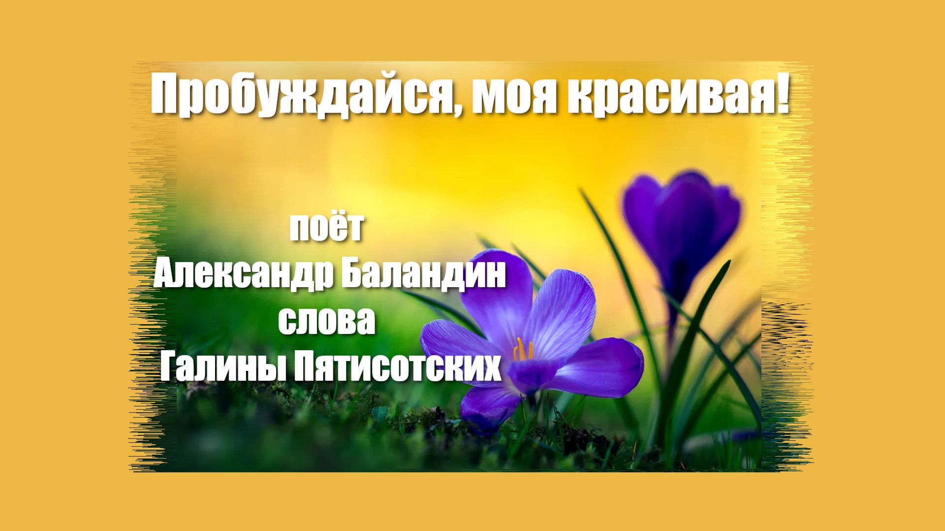 Пробуждайся, моя красивая! поёт Александр Баландин, слова Галины Пятисотских