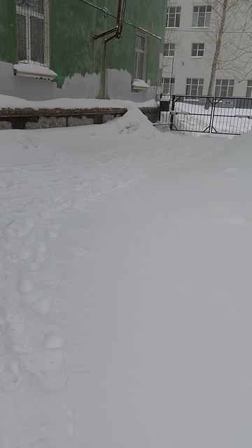 №1642 Двор П. Осипенко 48. 8 марта 2026 г., 11:09:54 VID_20260308_110940932