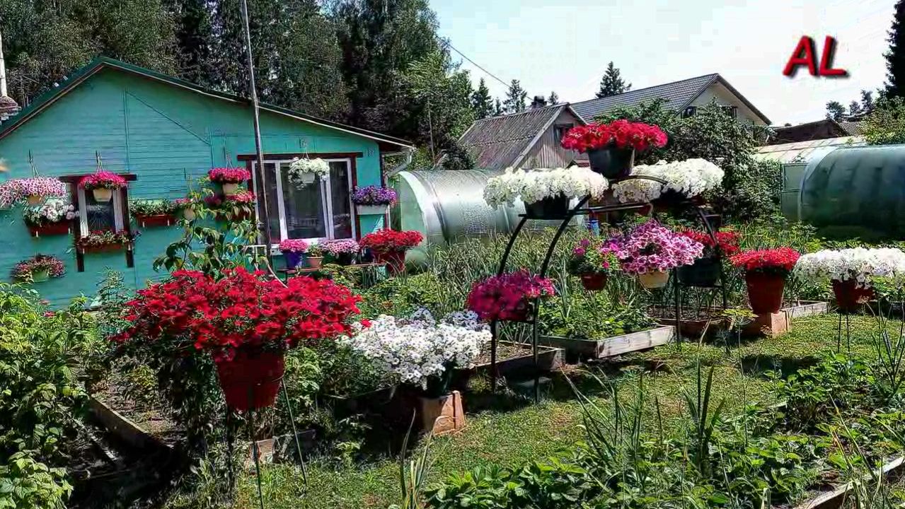 Цветочный уголок