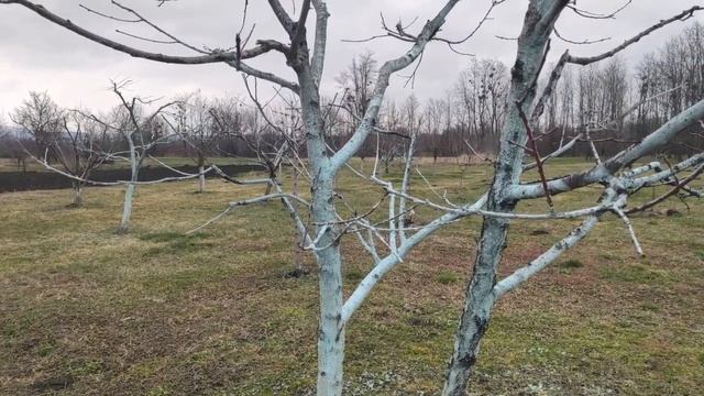 Прошли дожди и снегопады