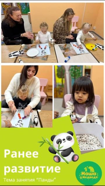 На занятии Раннего развития (3-4 г), тема: "Панды"