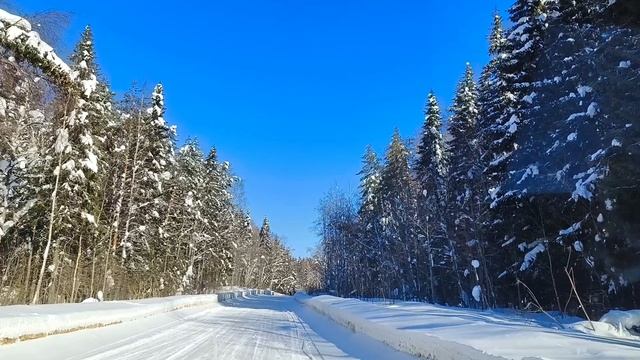 9 марта 2026год .На улице -22 ,через пару дней обещают +7.Прогулка по Лесопарковой.