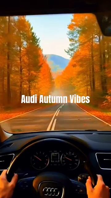 Осенняя дорога через туманный лес на Audi 🍂