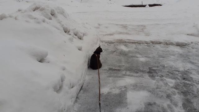 На улице тепло.