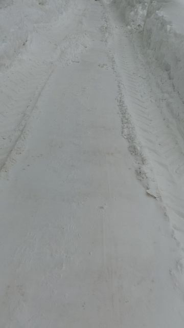 №1640 ул. Газеты Звезда. 8 марта 2026 г., 11:08:08 VID_20260308_110629889