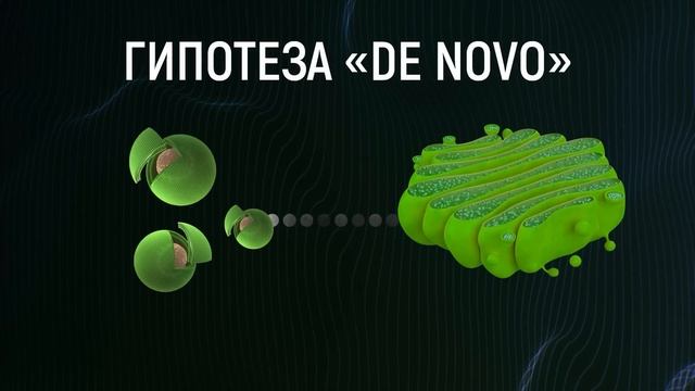 Аппарат Гольджи - логистический центр клетки