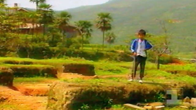 Южный Шаолинь А.Маслов 1994