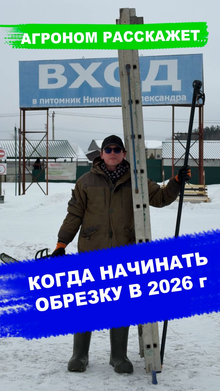 Обрезка. Начало в 2026 г