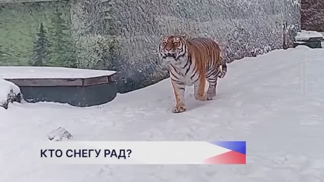 Новости "Волга 24" 28.01.2026 15:00