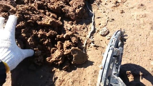 коп с minelab x terra 305