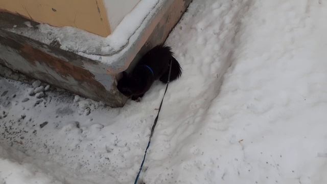 Везде надо побывать на улице.