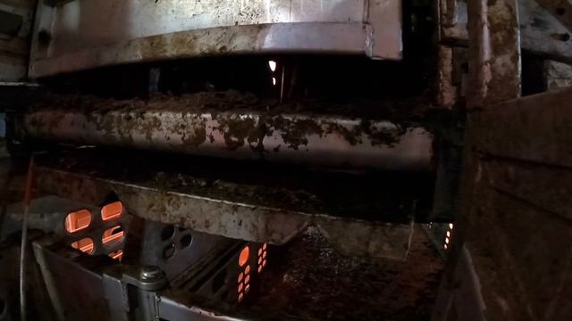 Japanese Wagyu Cows Unloading (Raw NO Cuts) (ep.23)