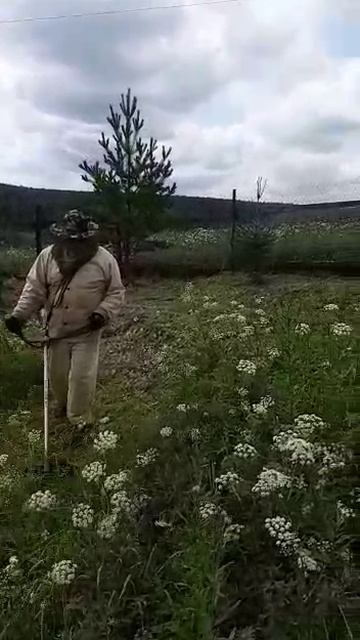 2019_08_05 volyny pokos