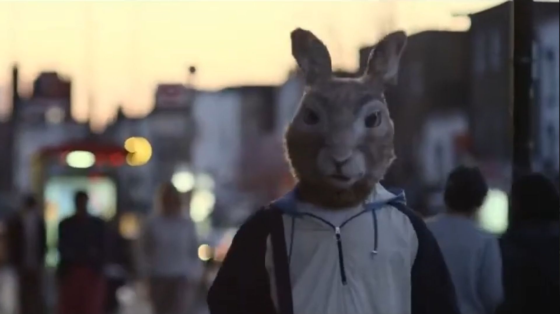Реклама магазинов IKEA «Заяц» (2020 год)