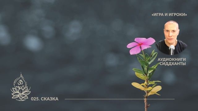 Игра и Игроки. 025. Сказка. Аудиокниги Сиддханты (Вячеслава Чернина)