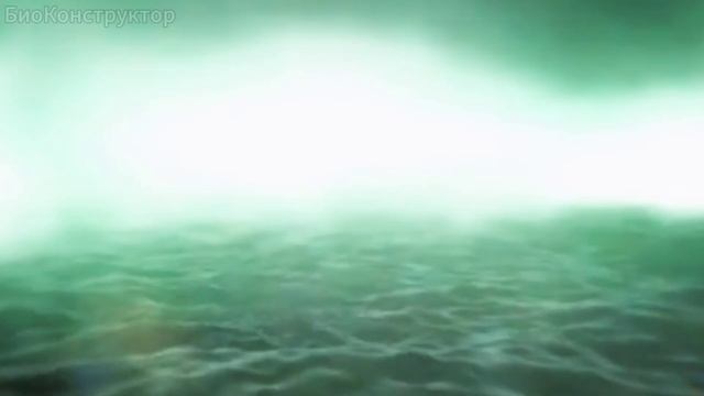 Люди или бактерии - кто переживёт атомную войну? Ответ не очевиден