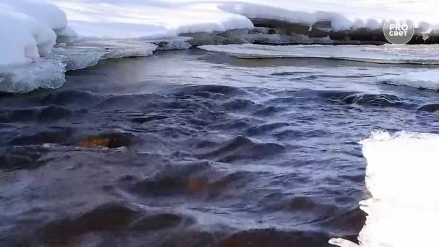 Возьмите на урок: Фёдор Тютчев «Весенние воды»