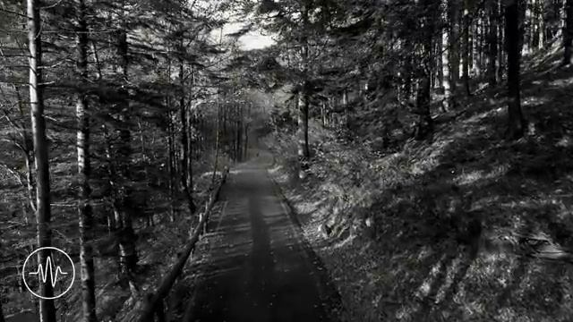 Русский Дип Хаус 2025 14 Deep House Mix Русские хиты о любви для души РусскийДипХаус