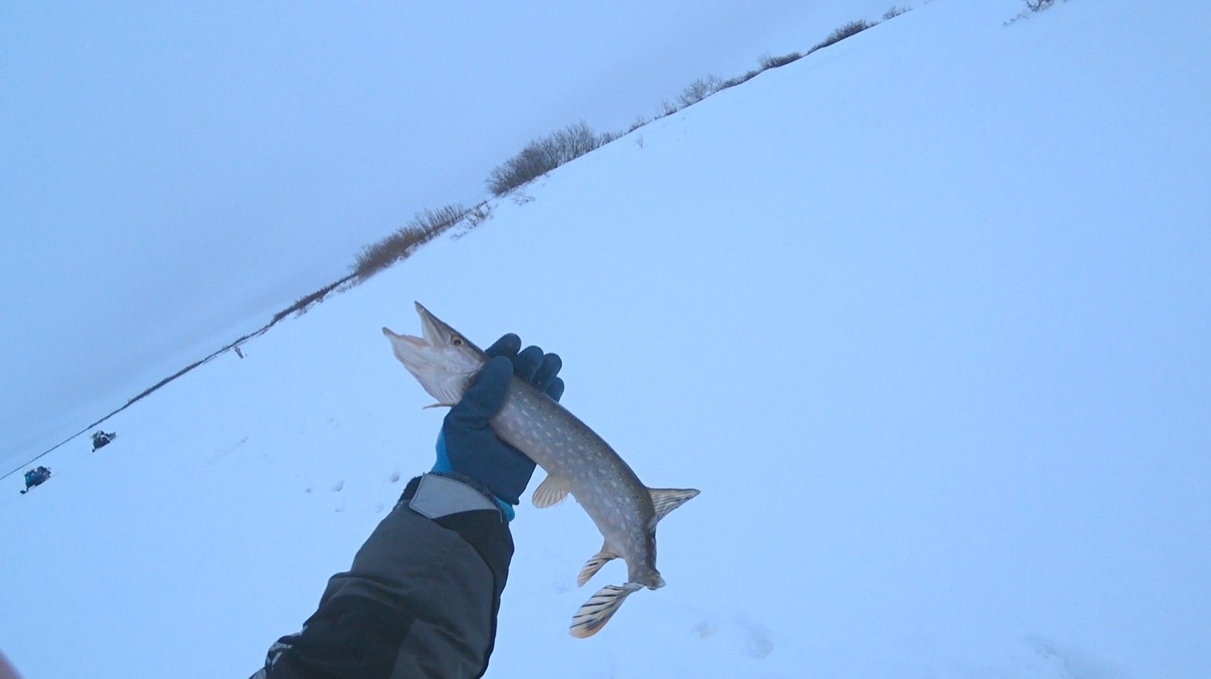 Рыбалка на налима щуку и окуня. Рыбалка зимним спиннингом на ратлины и вибы.