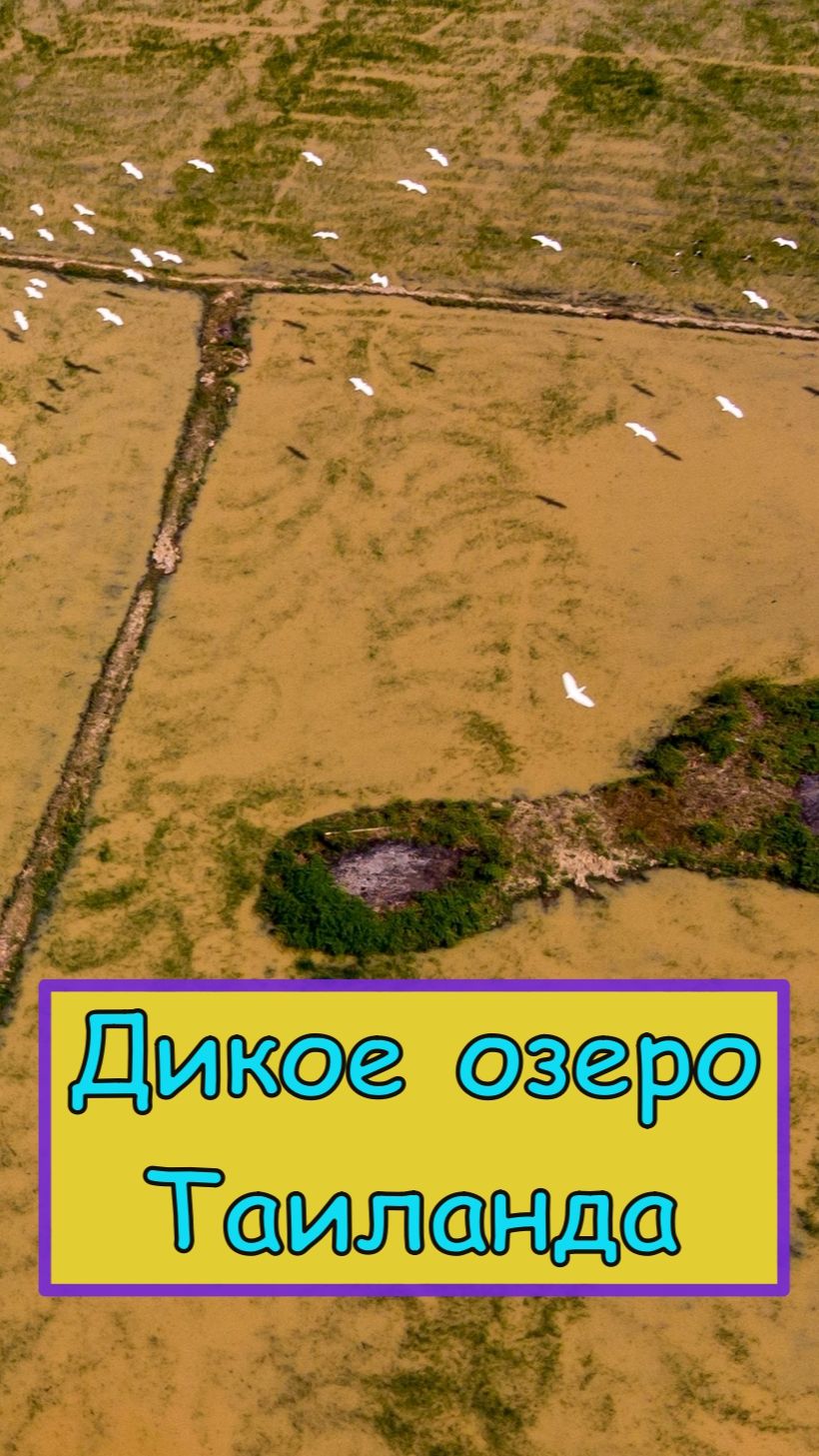 POV: ты летишь над диким озером в Таиланде 🇹🇭