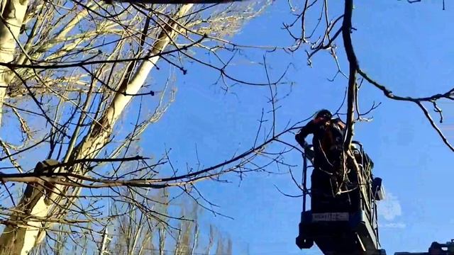 Спасенная маленькая жизнь