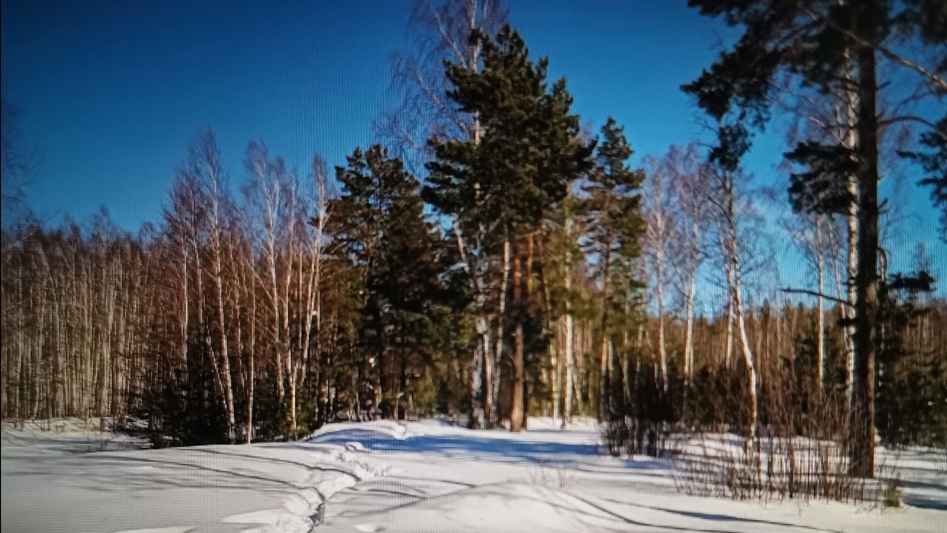 Вот уж зимушка проходит